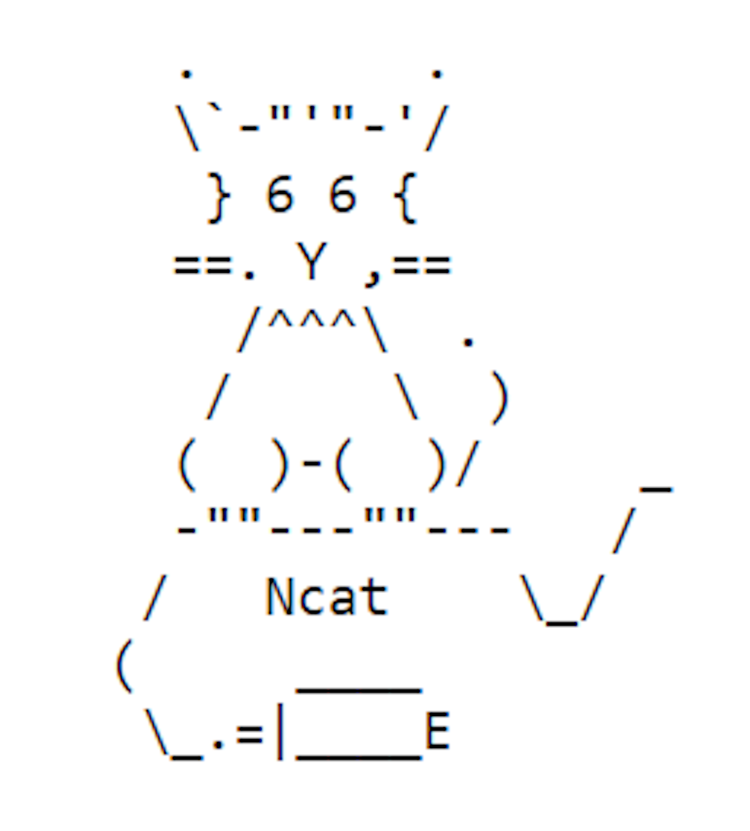 Netcat a Ncat | Interval.cz